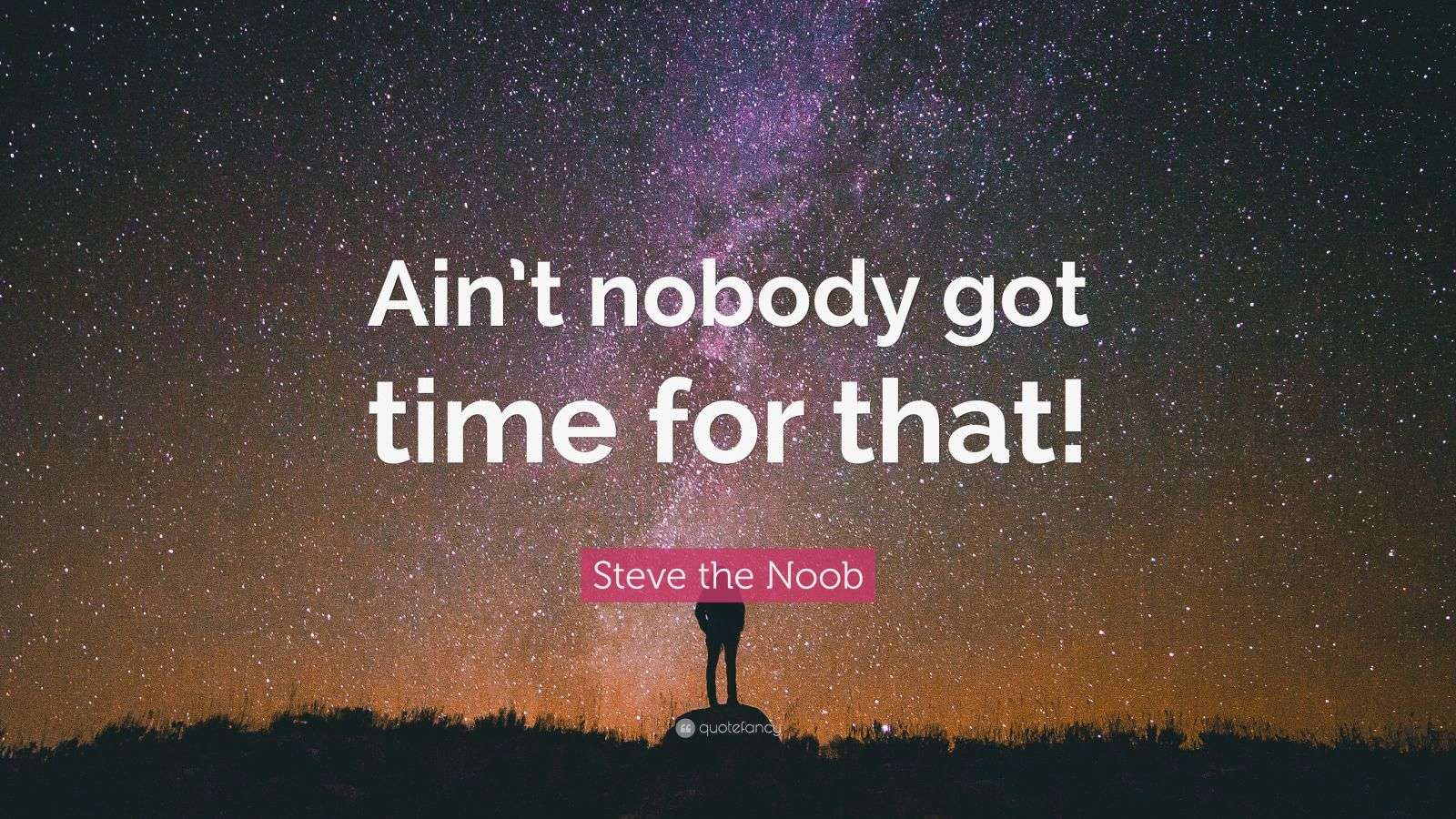 Steve the Noob Quote: “Ain’t nobody got time for that!”