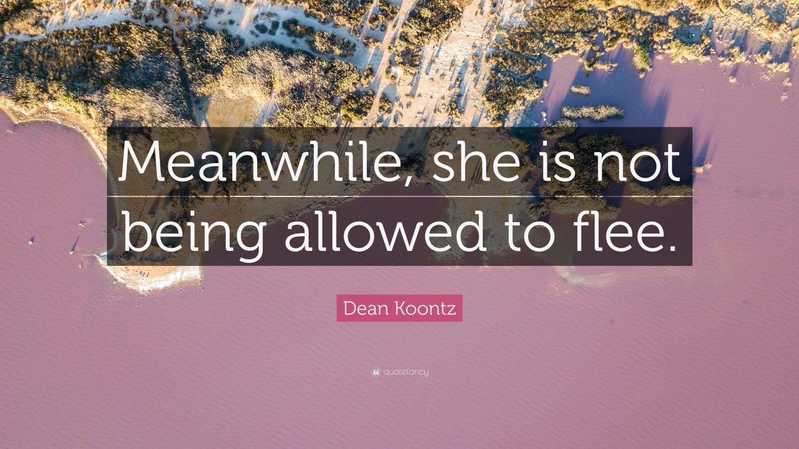 Dean Koontz Quote: “Meanwhile, she is not being allowed to flee.”