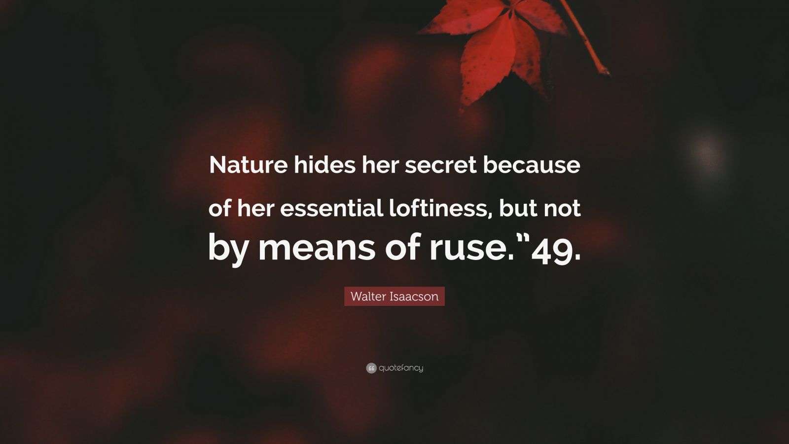 Walter Isaacson Quote: “Nature hides her secret because of her ...