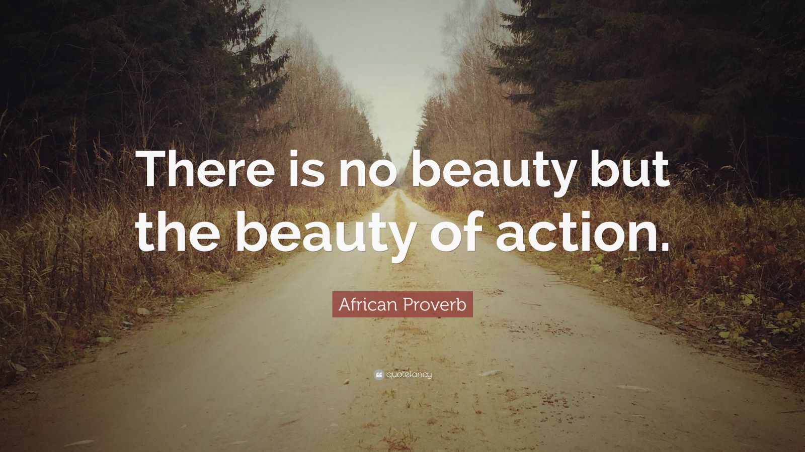 African Proverb Quote: “There is no beauty but the beauty of action.”