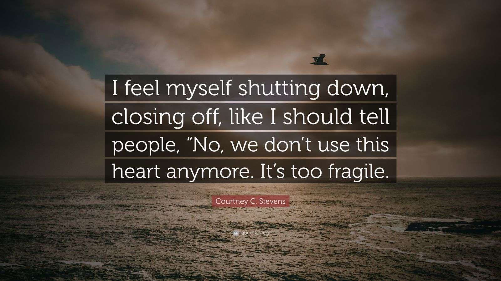 Courtney C. Stevens Quote: “I feel myself shutting down, closing off ...
