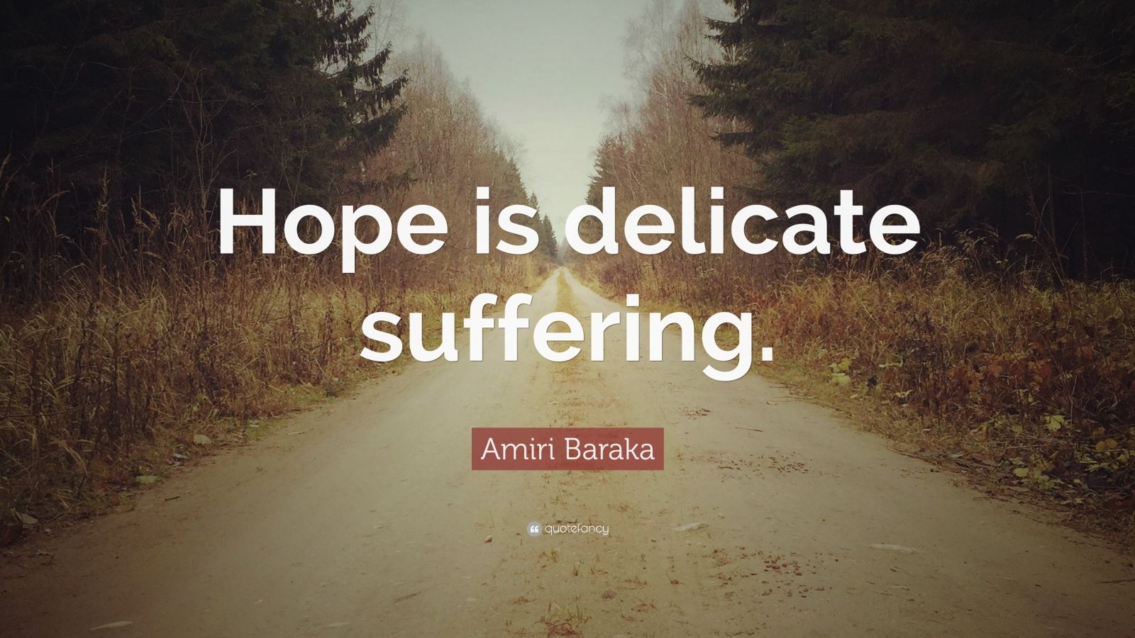 Amiri Baraka Quote: “Hope is delicate suffering.”