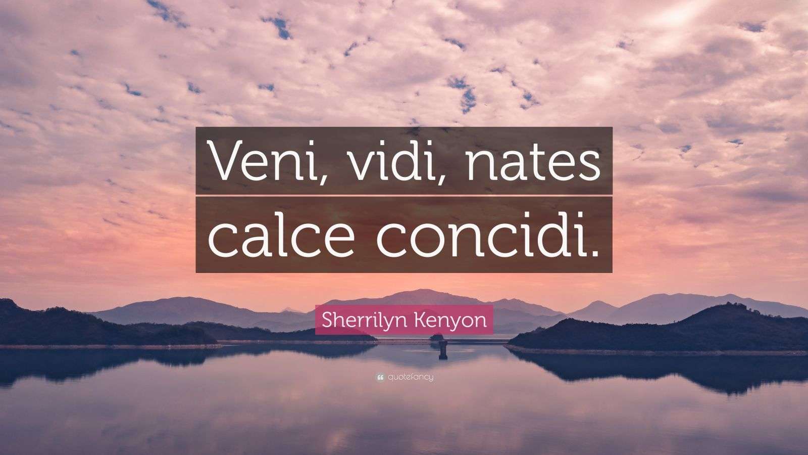 Sherrilyn Kenyon Quote: “Veni, vidi, nates calce concidi.”