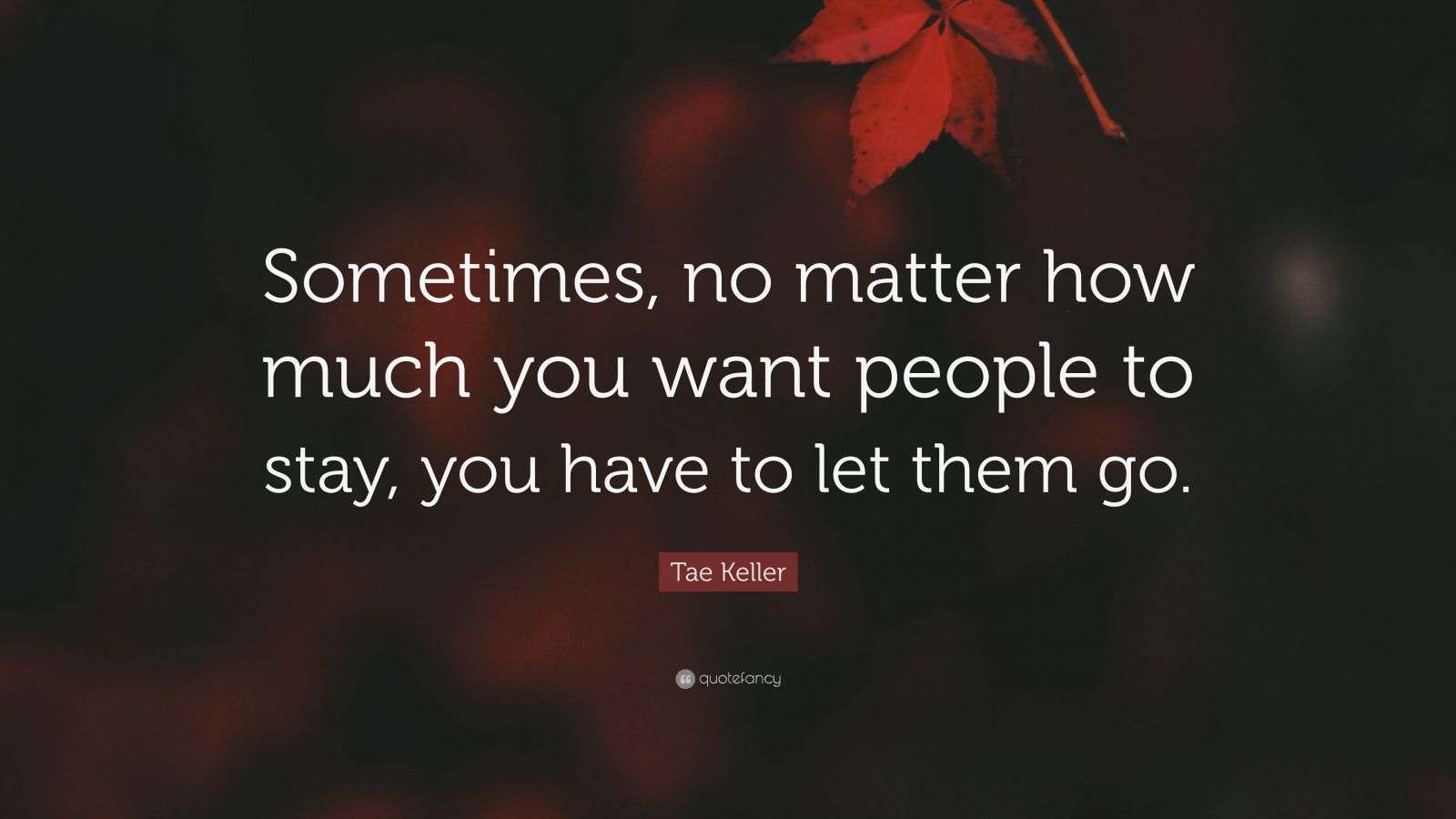 Tae Keller Quote: “Sometimes, no matter how much you want people to ...