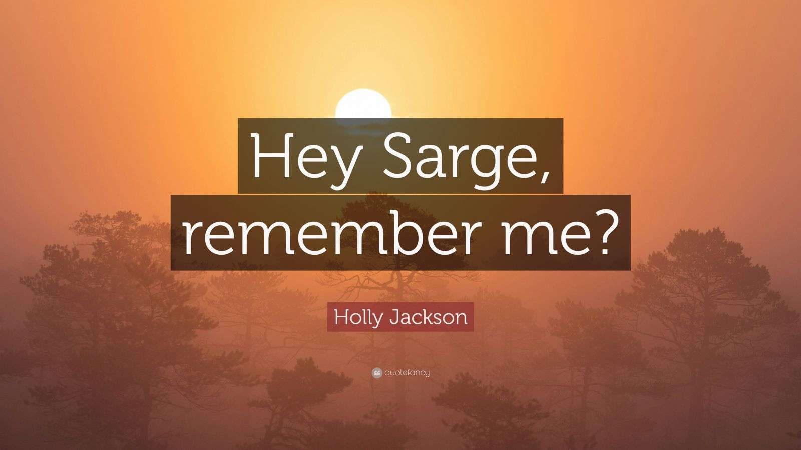 Holly Jackson Quote: “Hey Sarge, remember me?”
