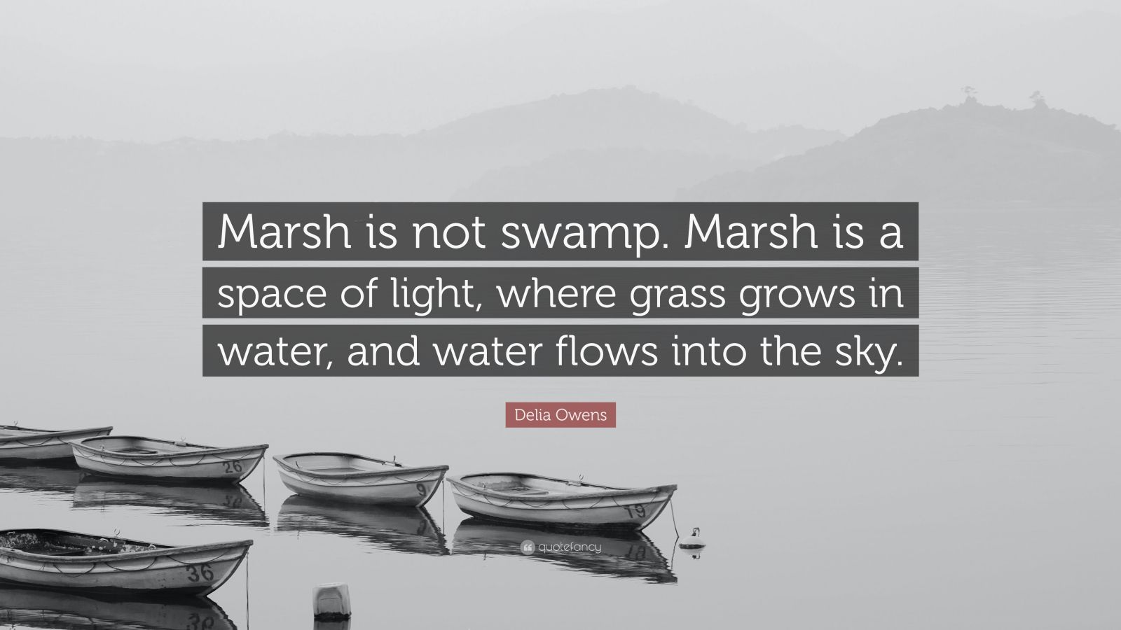 Delia Owens Quote: “Marsh is not swamp. Marsh is a space of light ...