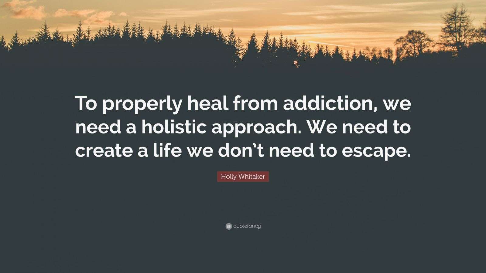 Holly Whitaker Quote: “To properly heal from addiction, we need a ...