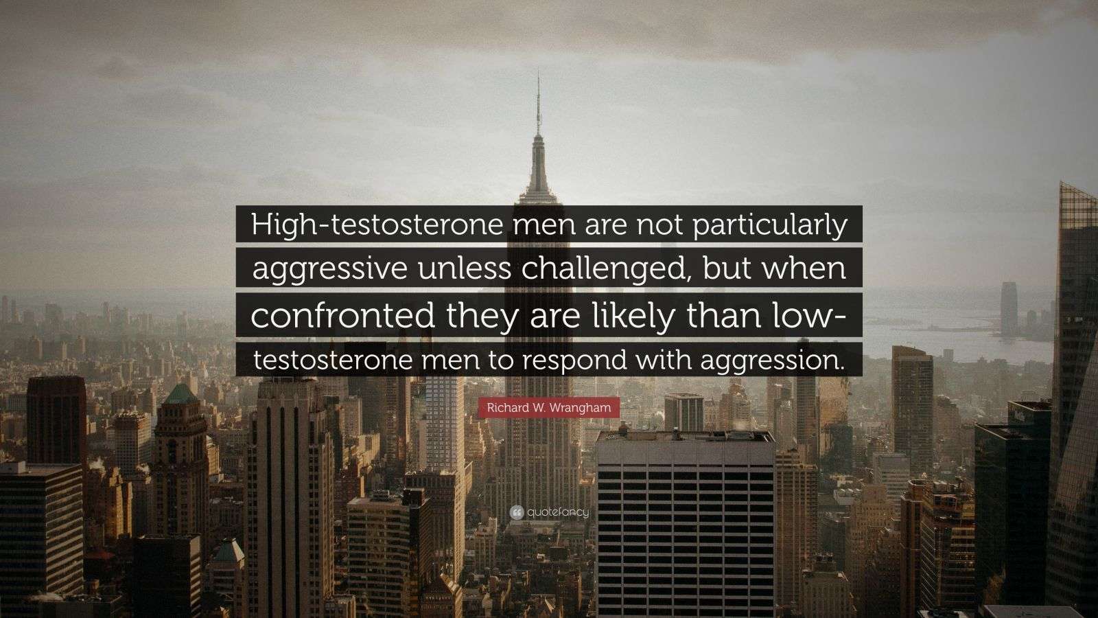 Richard W. Wrangham Quote: “High-testosterone men are not particularly ...