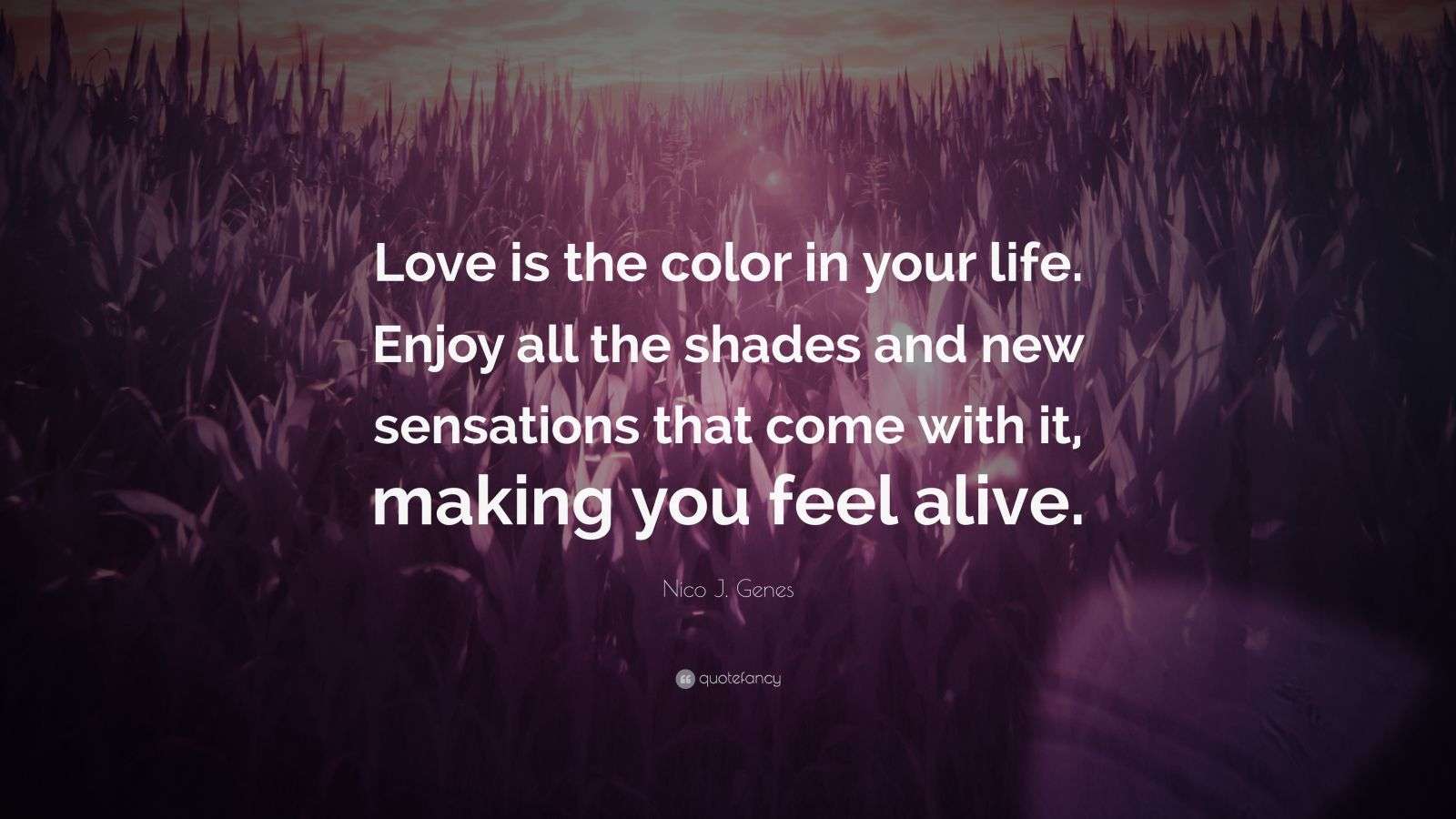 Nico J. Genes Quote: “Love is the color in your life. Enjoy all the ...