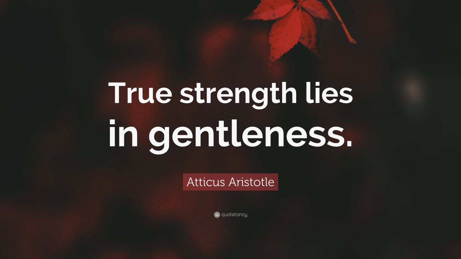 Atticus Aristotle Quote: “True strength lies in gentleness.”