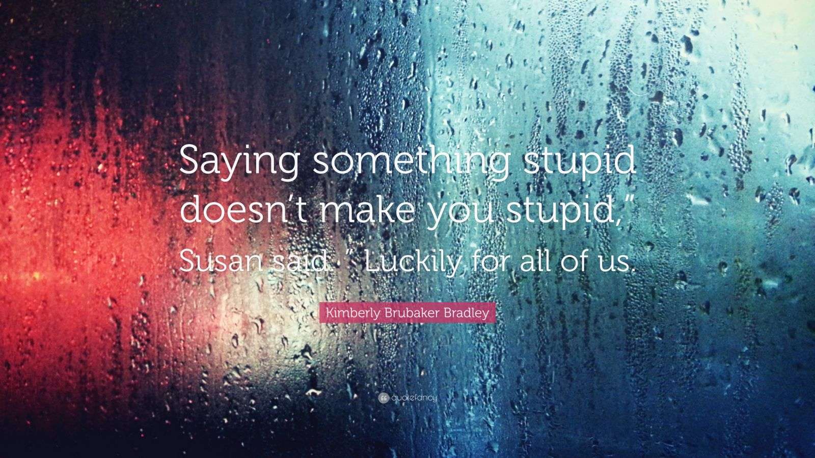 Kimberly Brubaker Bradley Quote: “Saying something stupid doesn’t make ...