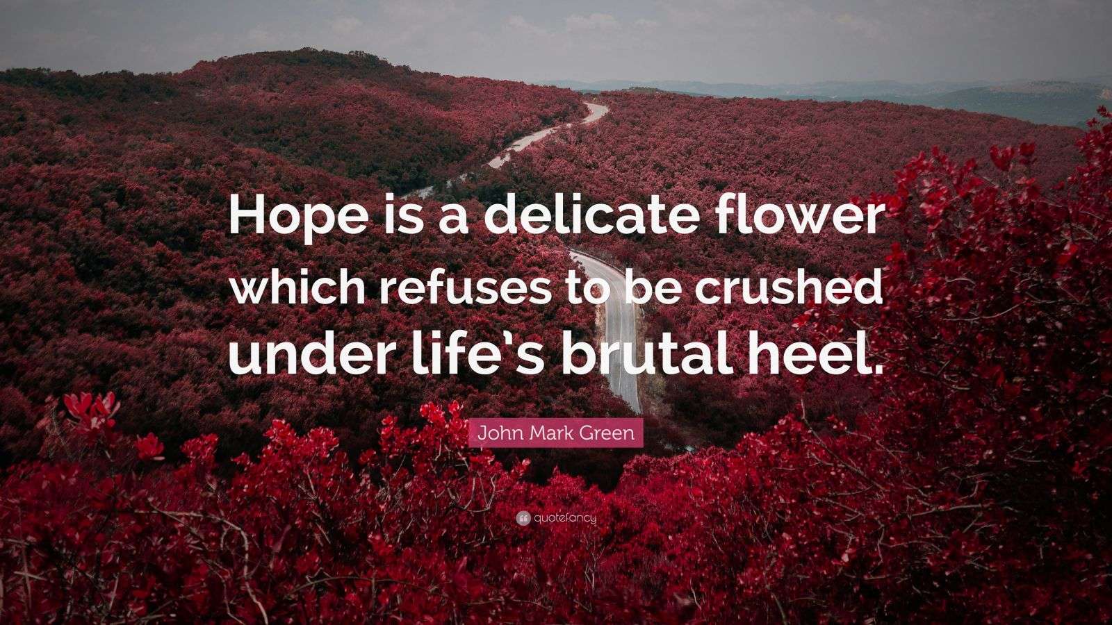 John Mark Green Quote: “Hope is a delicate flower which refuses to be ...