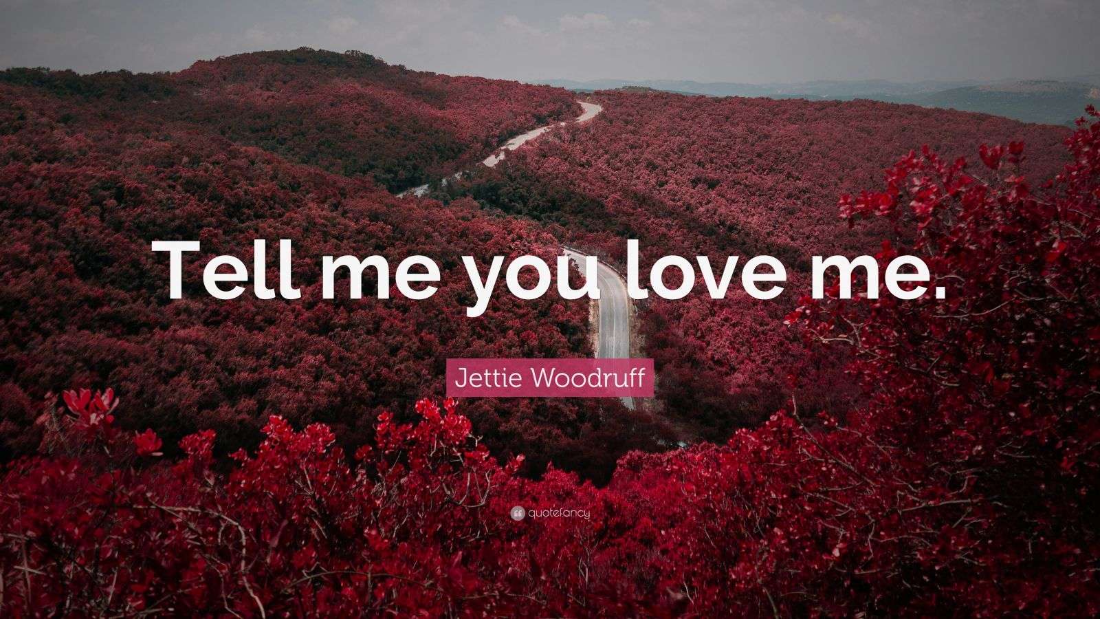 Jettie Woodruff Quote: “Tell me you love me.”