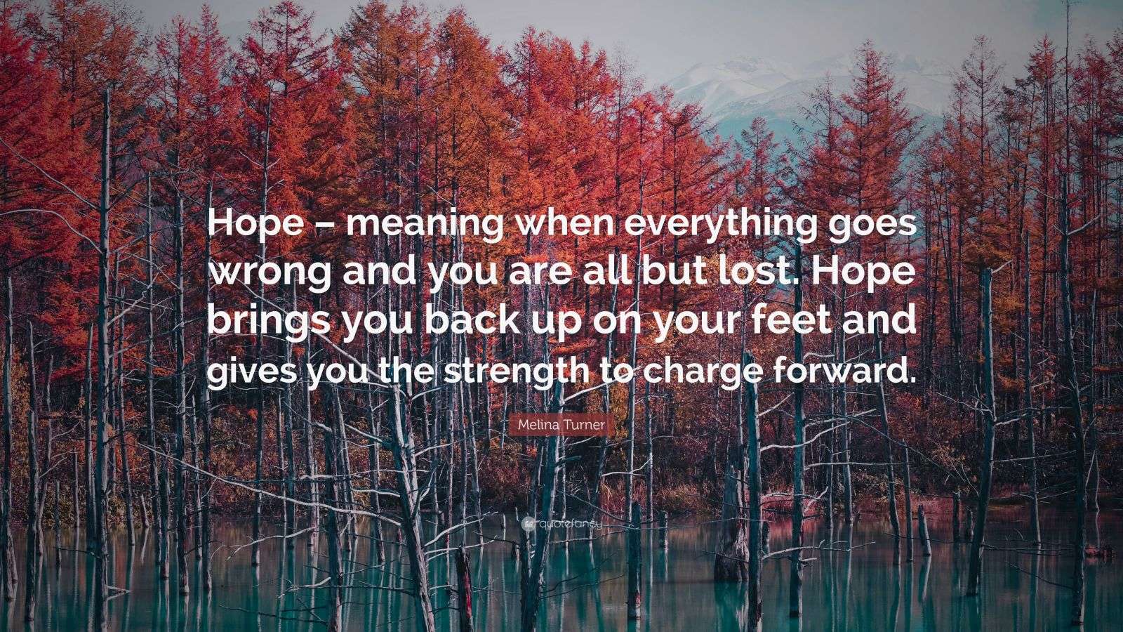 Melina Turner Quote: “Hope – meaning when everything goes wrong and you ...