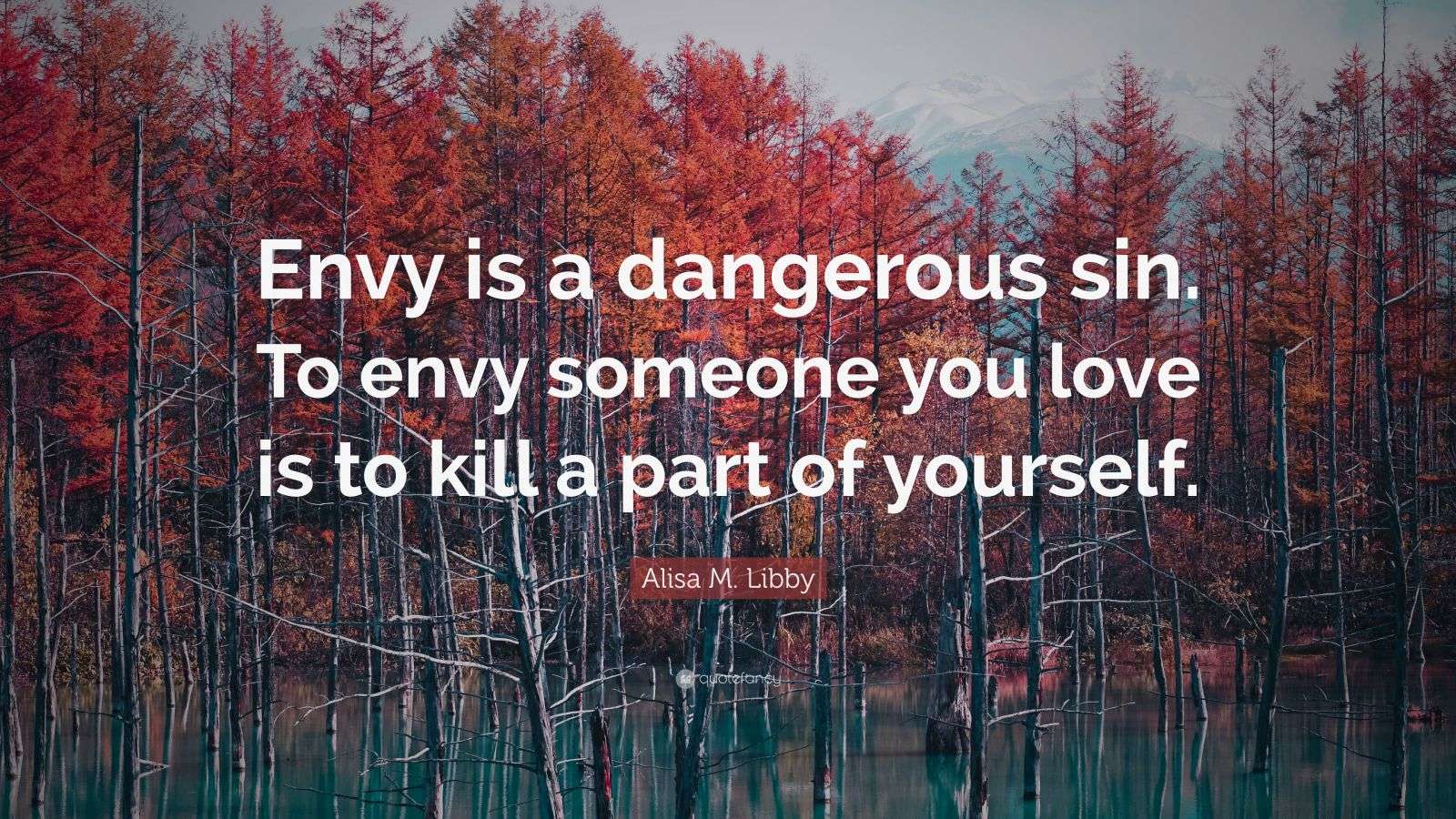 Alisa M. Libby Quote: “Envy is a dangerous sin. To envy someone you ...