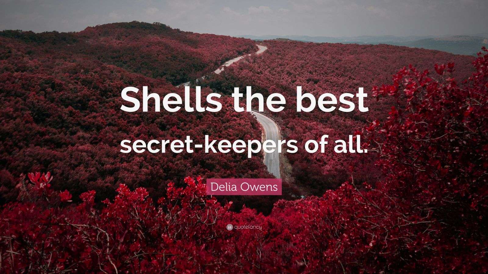 Delia Owens Quote: “Shells the best secret-keepers of all.”