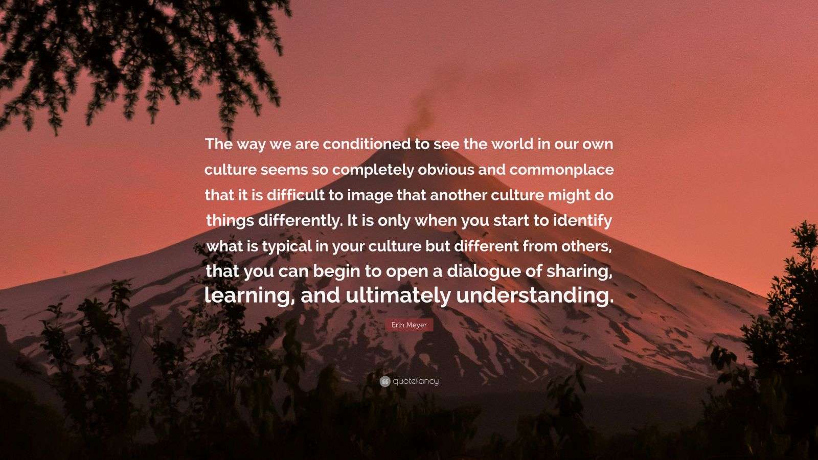 Erin Meyer Quote: “The way we are conditioned to see the world in our ...