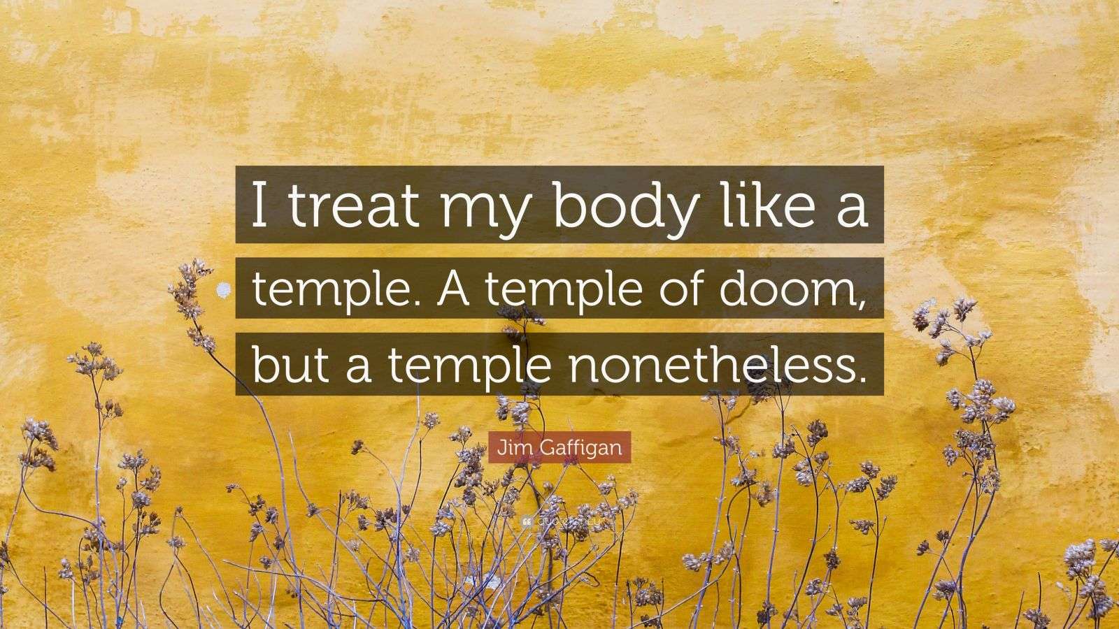 Jim Gaffigan Quote: “I treat my body like a temple. A temple of doom, but a temple nonetheless.”