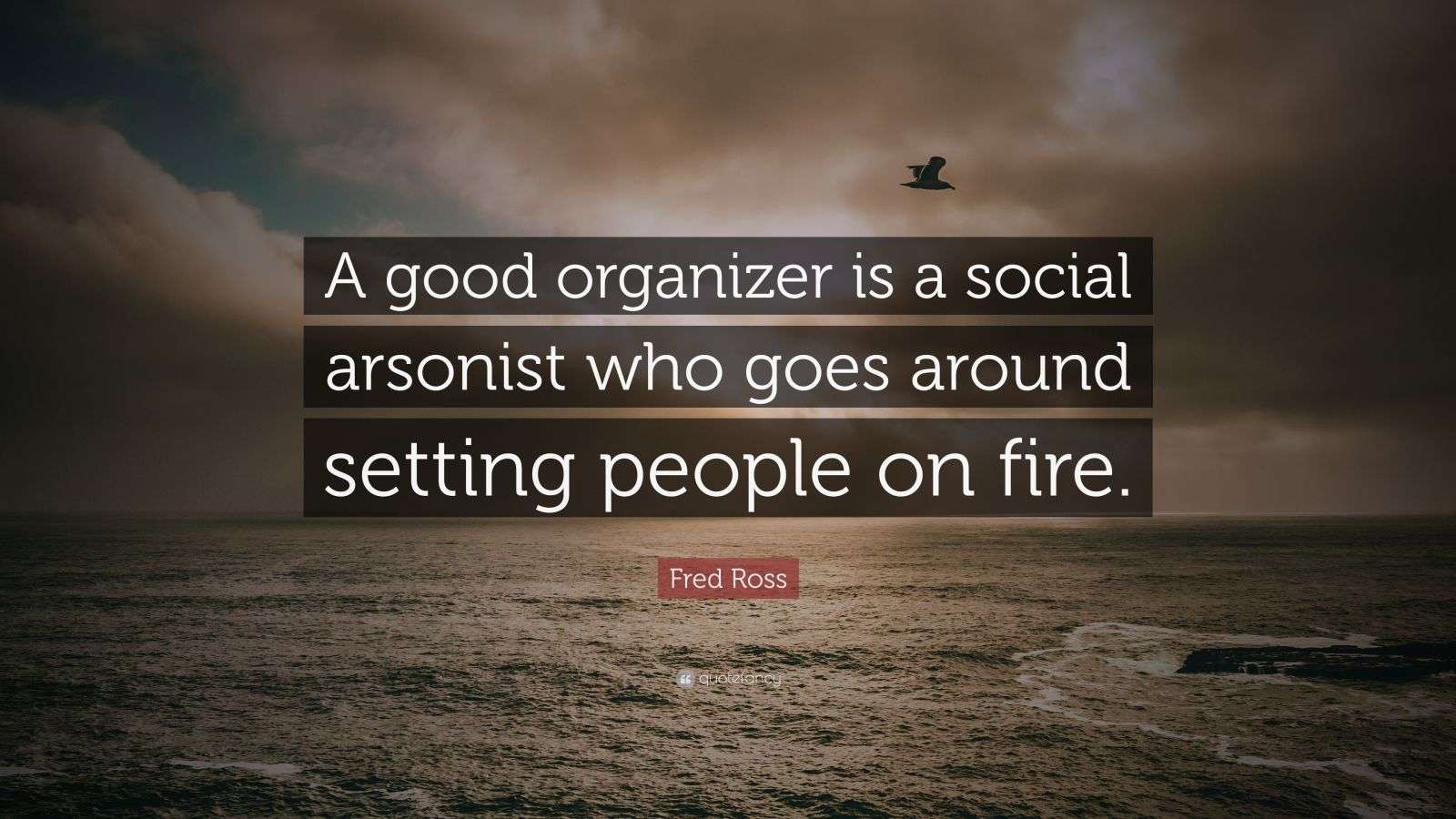 Top 6 Fred Ross Quotes (2025 Update) - QuoteFancy