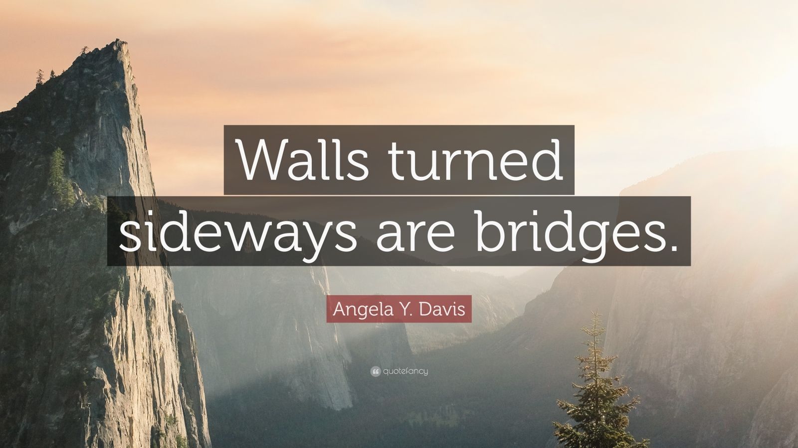 Top 160 Angela Y. Davis Quotes (2026 Update) - QuoteFancy