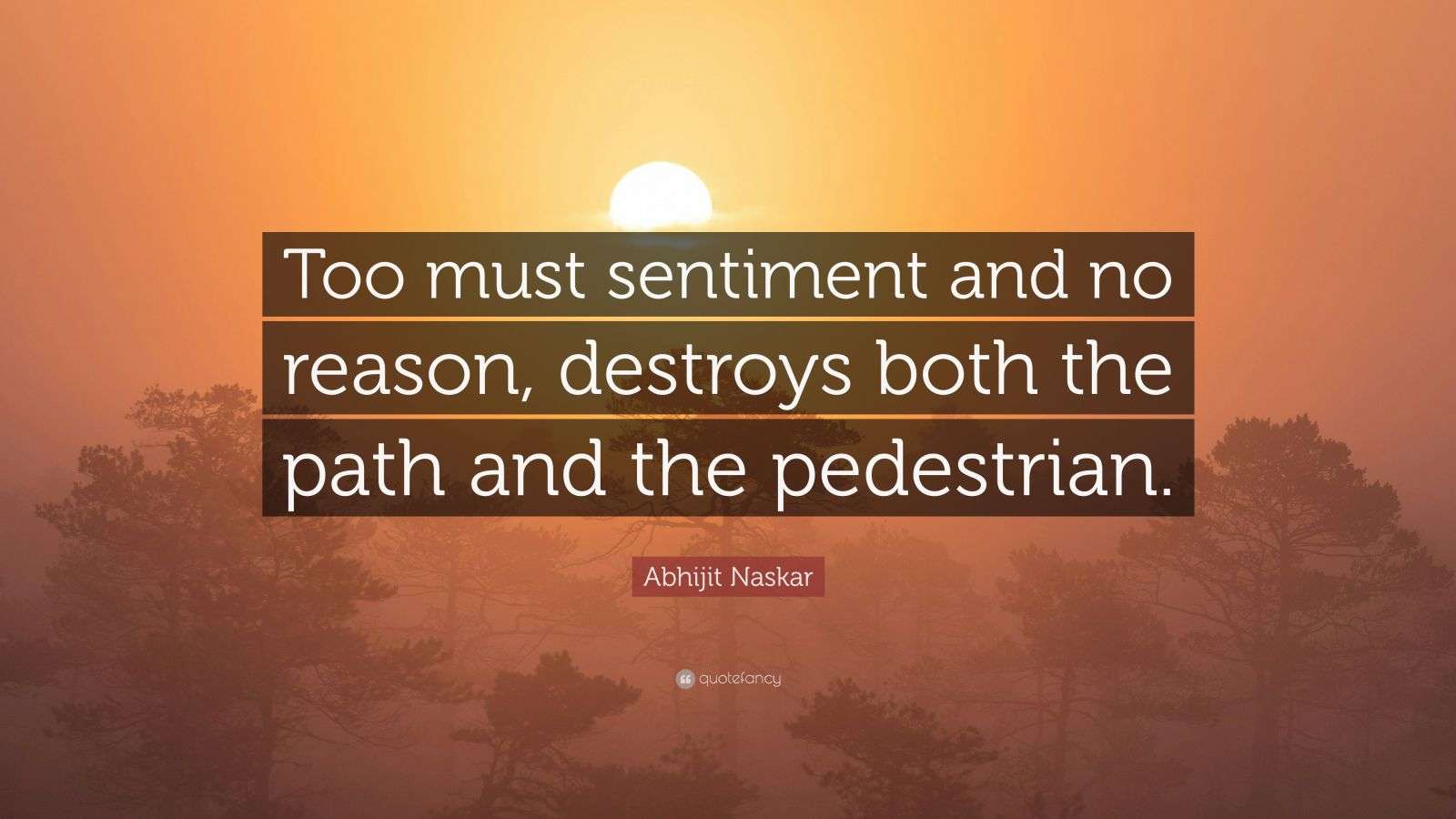 Abhijit Naskar Quote: “Too must sentiment and no reason, destroys both ...