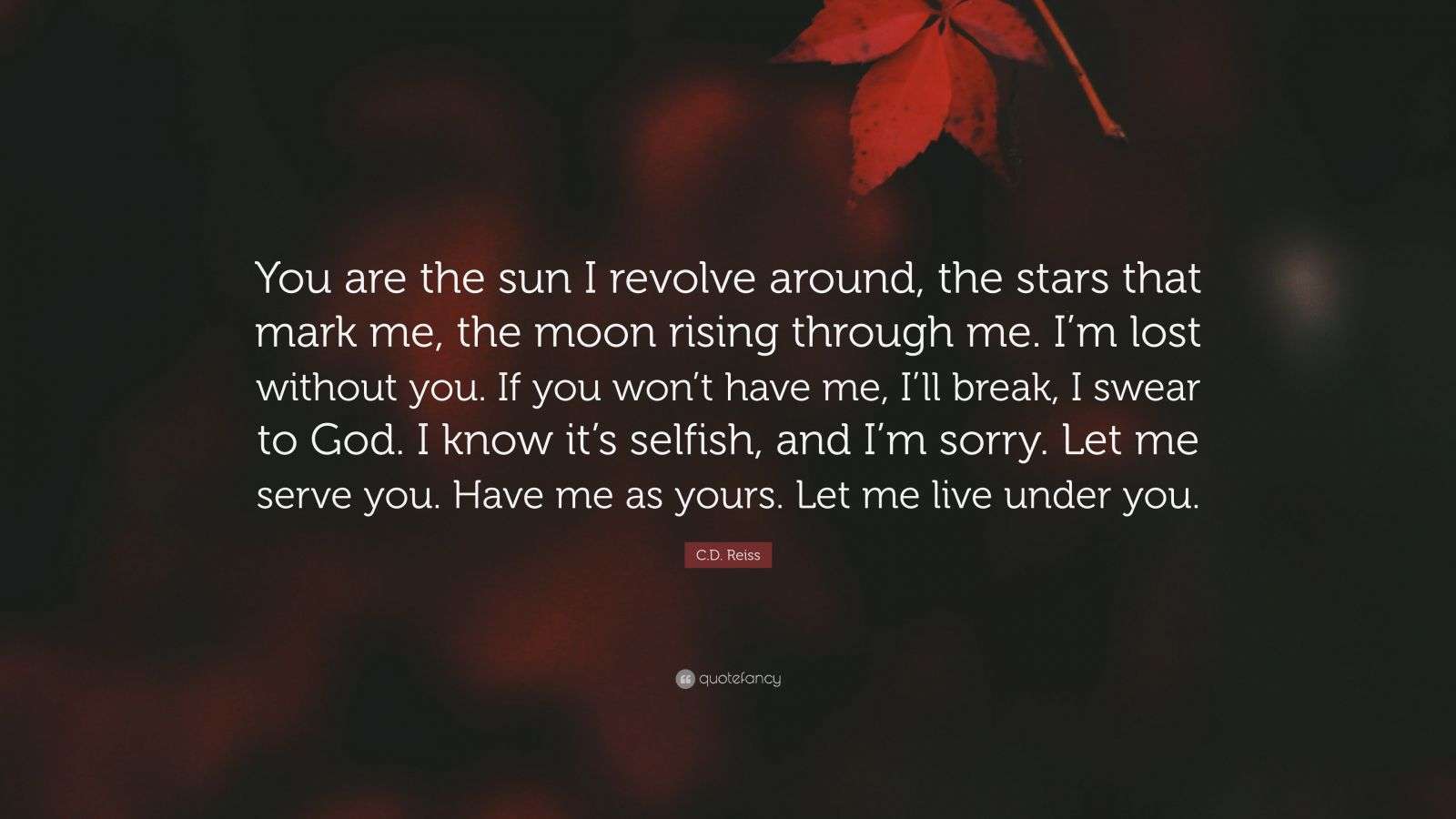 C.D. Reiss Quote: “You are the sun I revolve around, the stars that ...