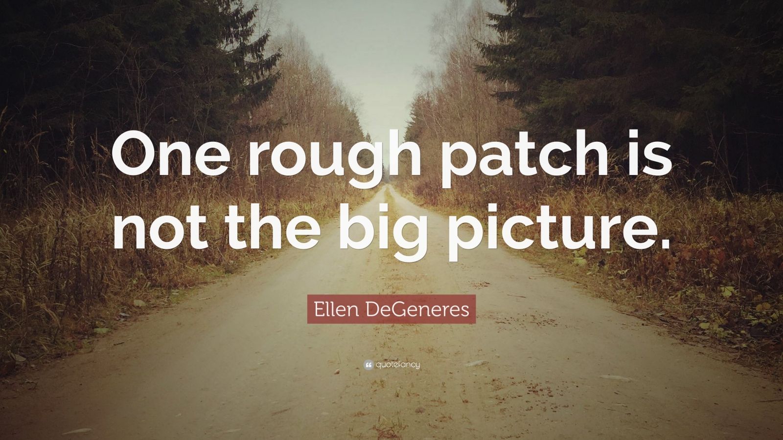 Ellen DeGeneres Quote: “One rough patch is not the big picture.”