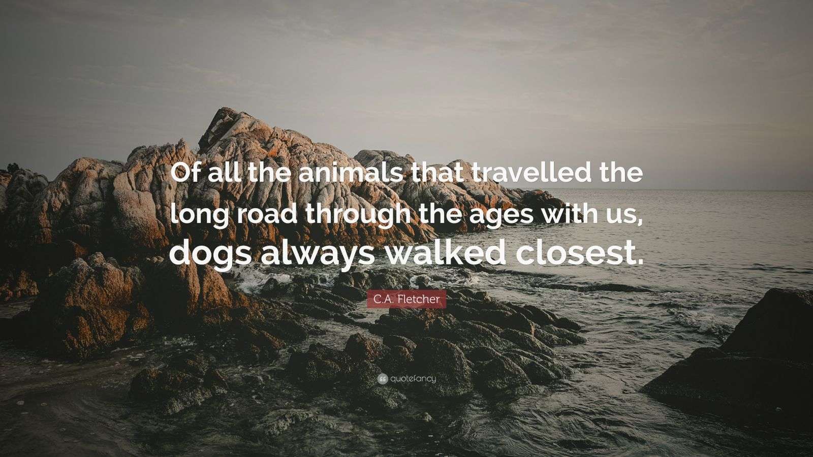 C.A. Fletcher Quote: “Of all the animals that travelled the long road ...