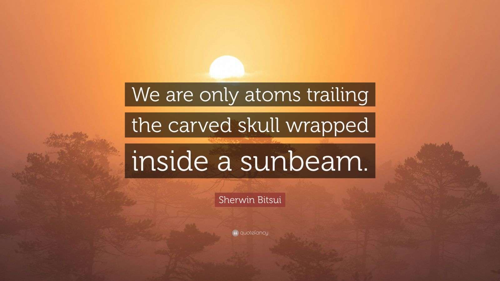 Sherwin Bitsui Quote: “We are only atoms trailing the carved skull ...
