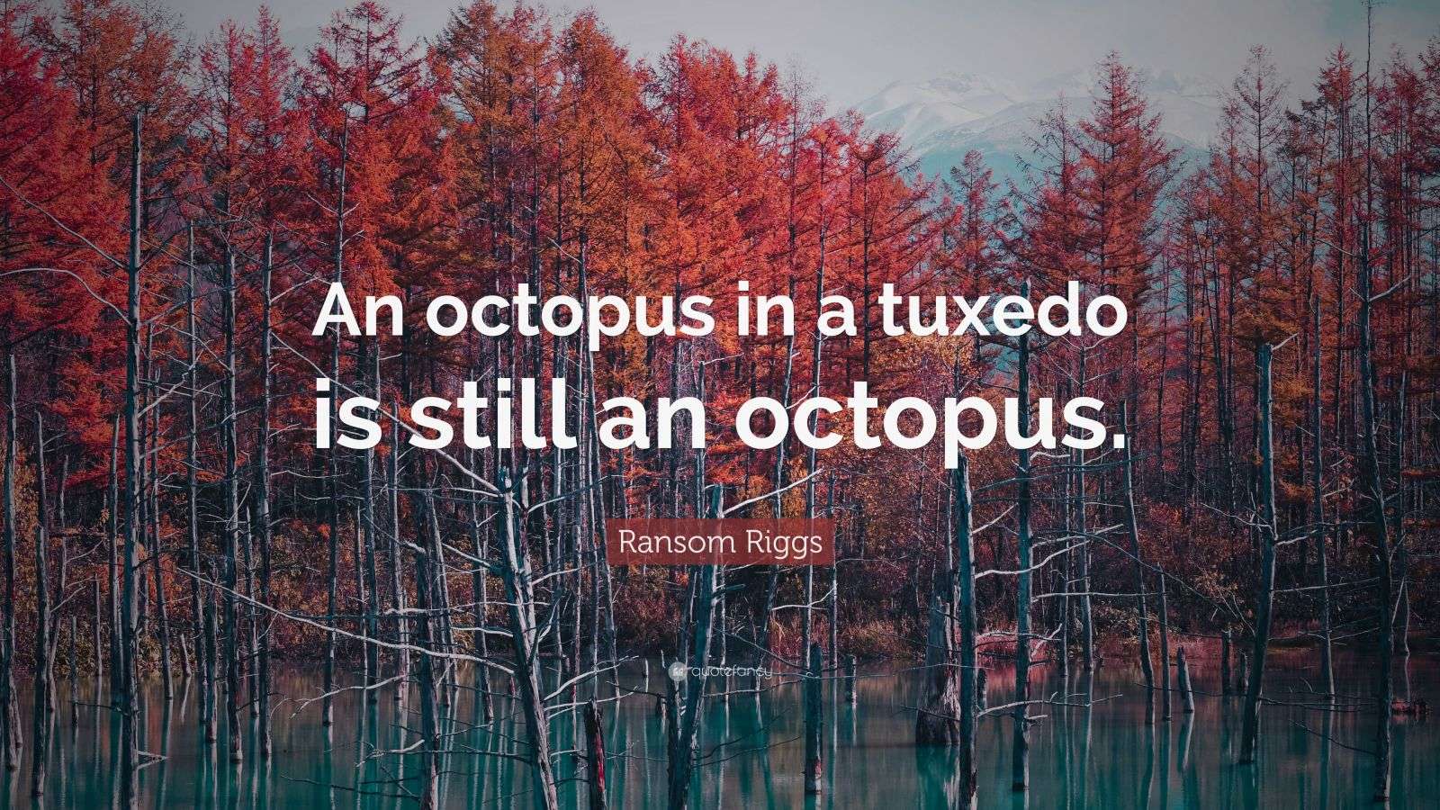 Ransom Riggs Quote: “An octopus in a tuxedo is still an octopus.”