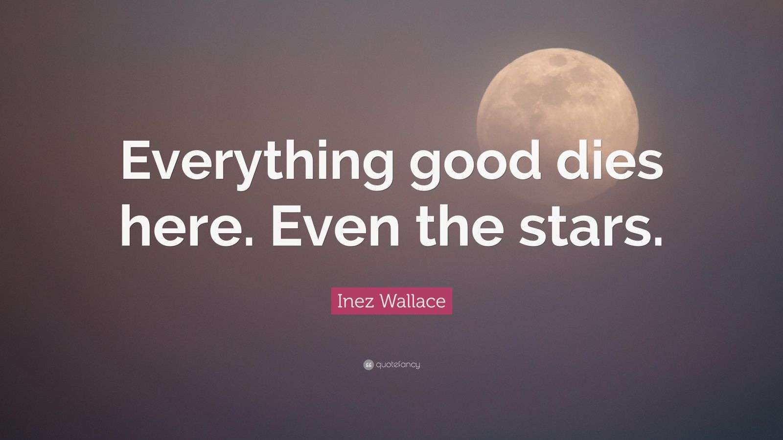 Inez Wallace Quote: “Everything good dies here. Even the stars.”