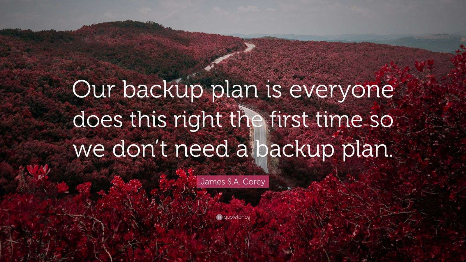 James S.A. Corey Quote: “Our backup plan is everyone does this right ...
