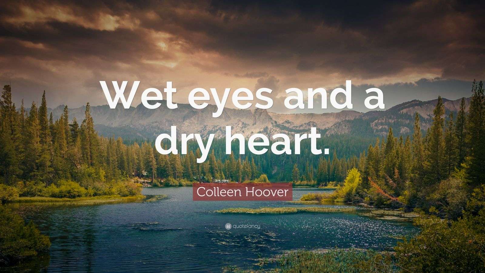Colleen Hoover Quote: “Wet eyes and a dry heart.”