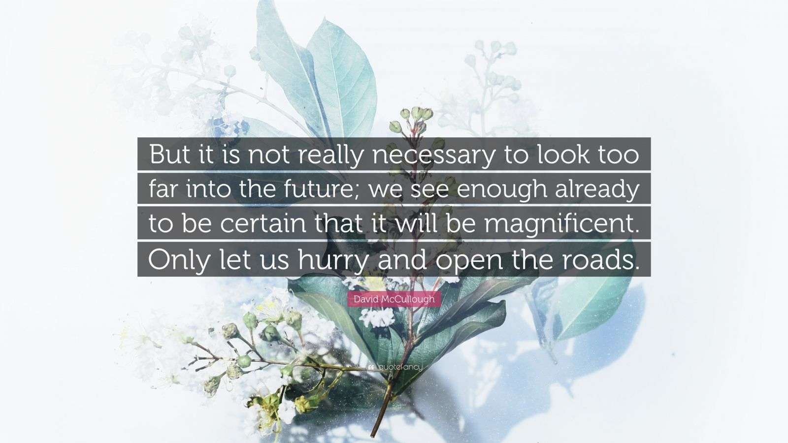 David McCullough Quote: “But it is not really necessary to look too far ...