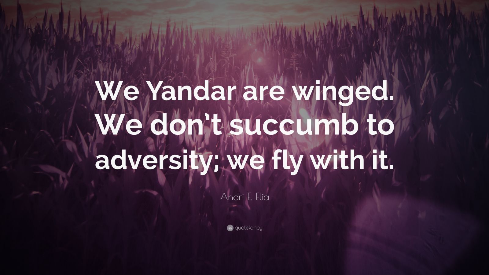 Top 20 Andri E. Elia Quotes (2026 Update) - QuoteFancy