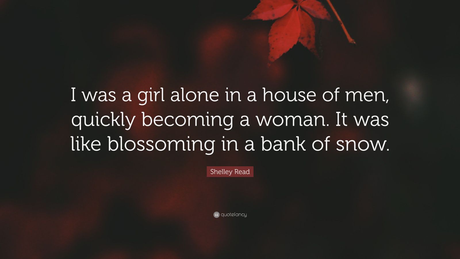 Shelley Read Quote: “I was a girl alone in a house of men, quickly ...