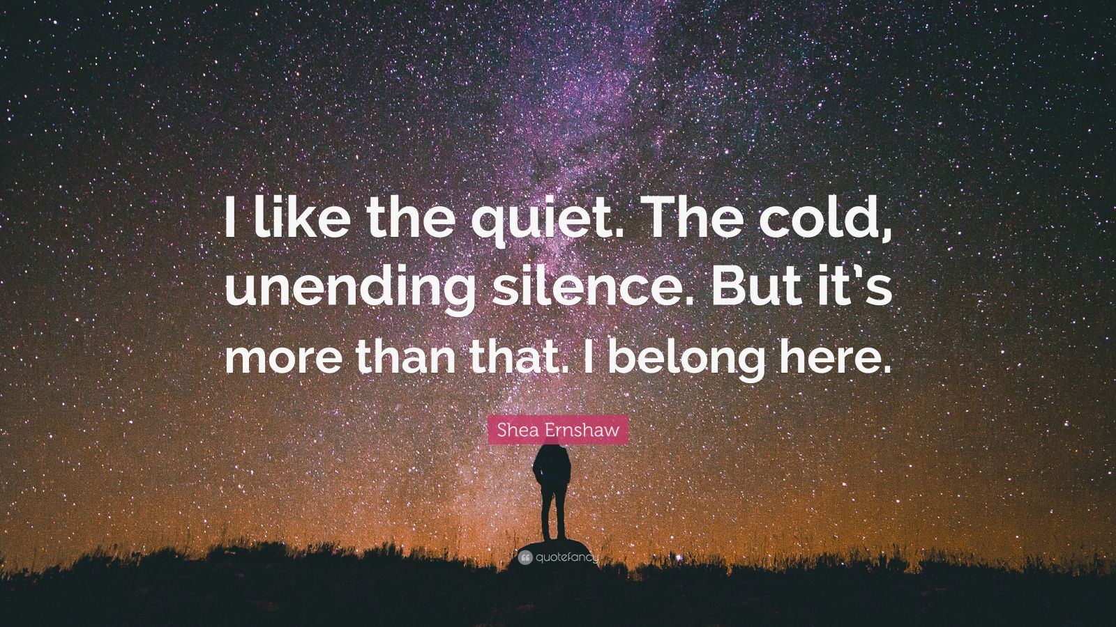 Shea Ernshaw Quote: “I like the quiet. The cold, unending silence. But ...