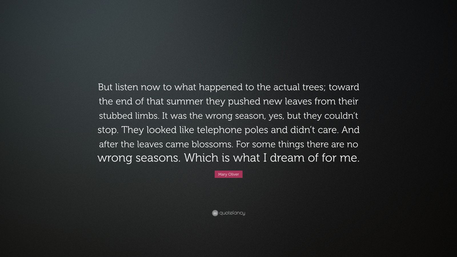 Top 400 Mary Oliver Quotes (2026 Update) [Page 9] - QuoteFancy