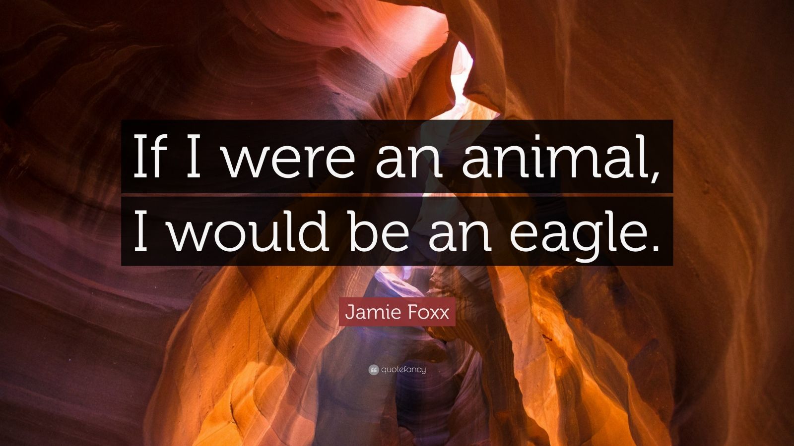 Jamie Foxx Quote: “If I were an animal, I would be an eagle.”