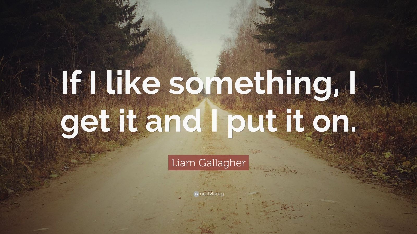 Liam Gallagher Quote: “If I like something, I get it and I put it on.”