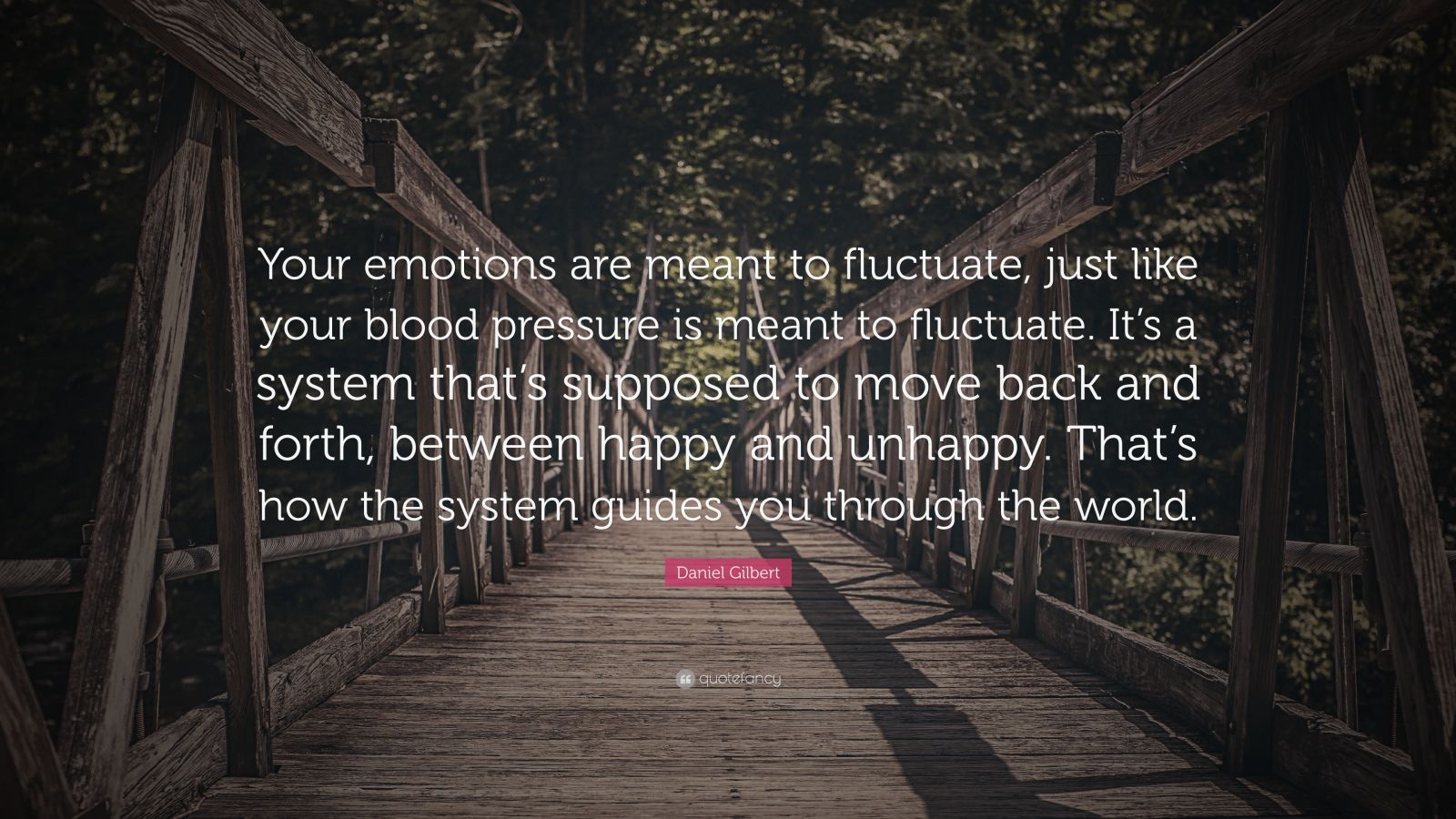 Daniel Gilbert Quote: “Your emotions are meant to fluctuate, just like ...