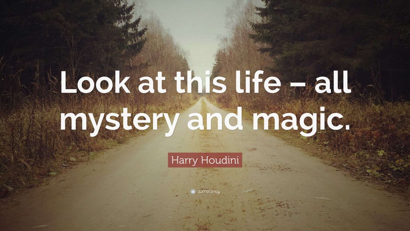 Harry Houdini Quote: “Look at this life – all mystery and magic.” (7 ...