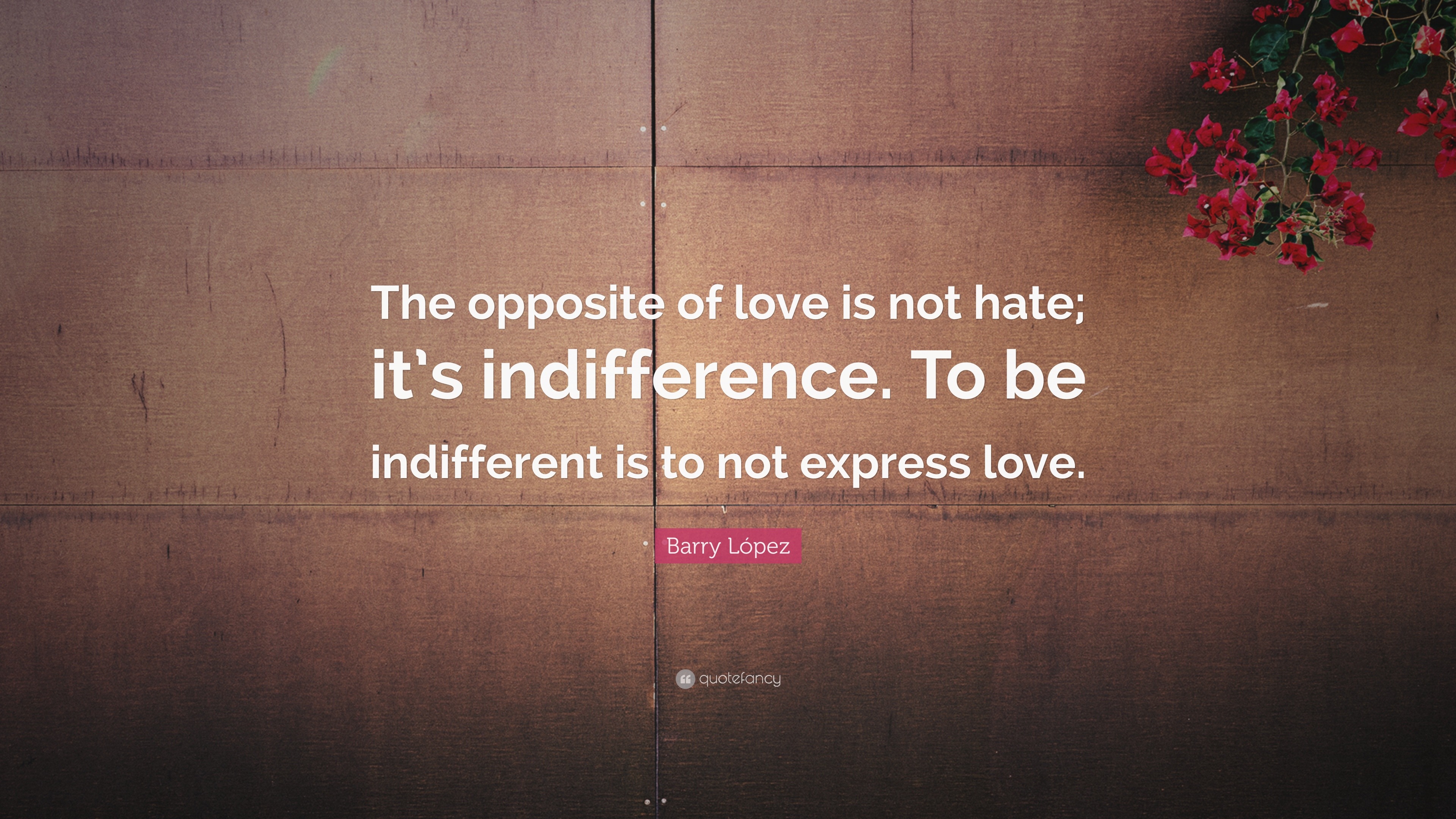 Barry López Quote: “The opposite of love is not hate; it’s indifference. To be indifferent is to ...