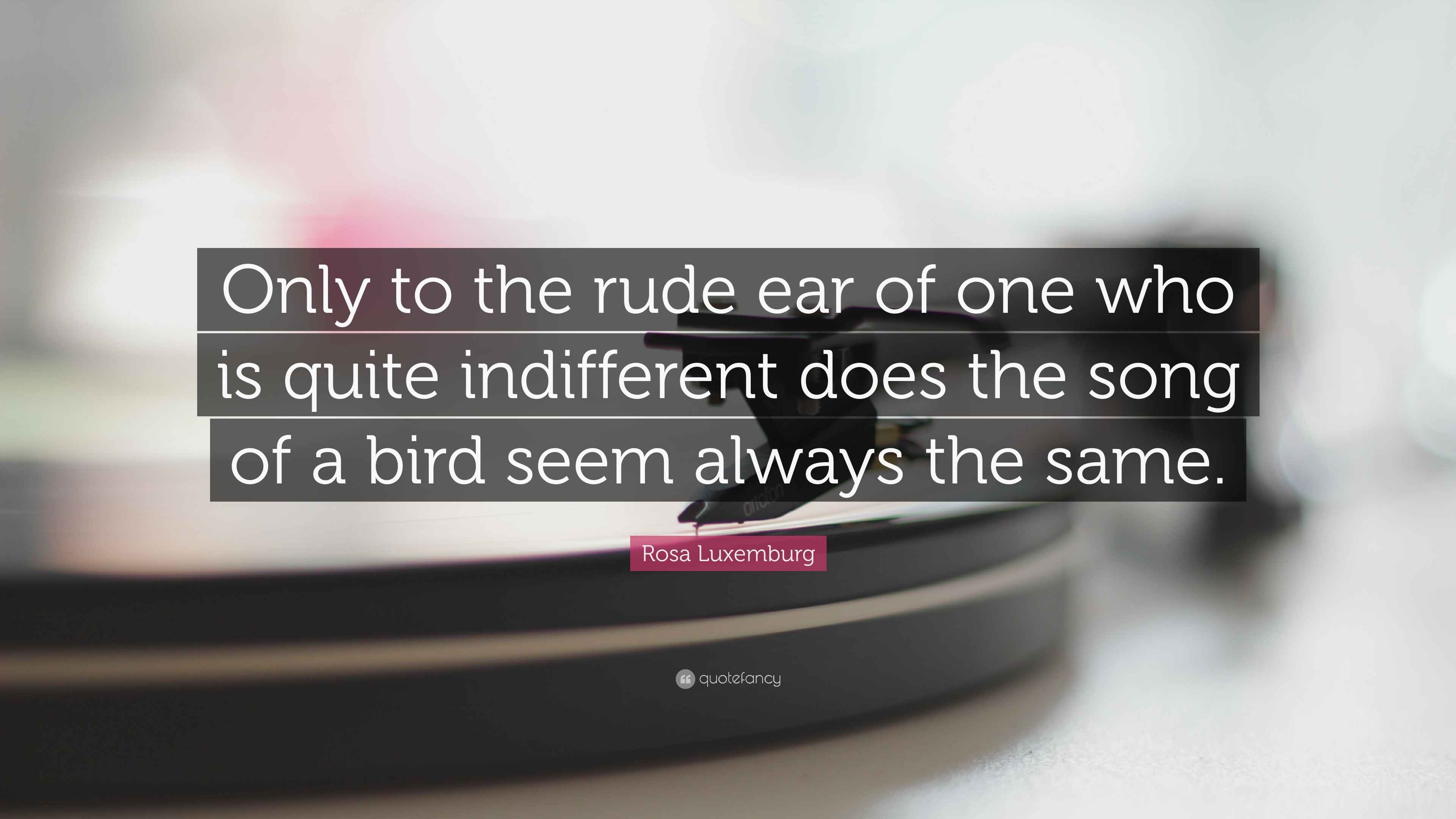 Rosa Luxemburg Quote: “Only to the rude ear of one who is quite ...