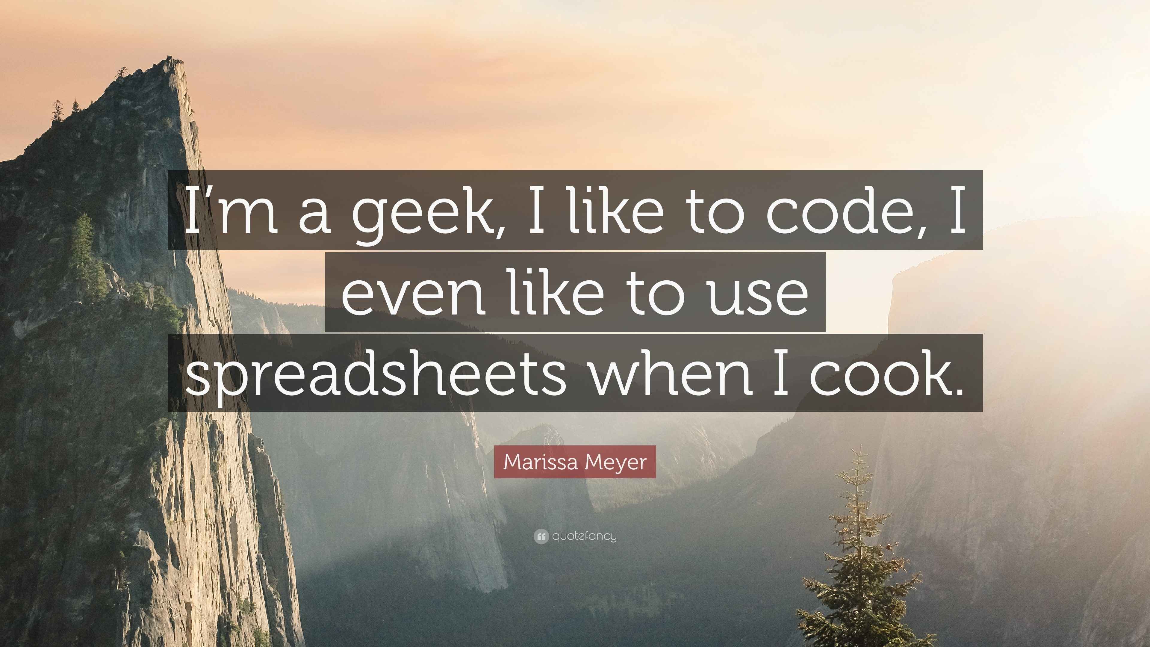 Marissa Meyer Quote: “I’m a geek, I like to code, I even like to use ...