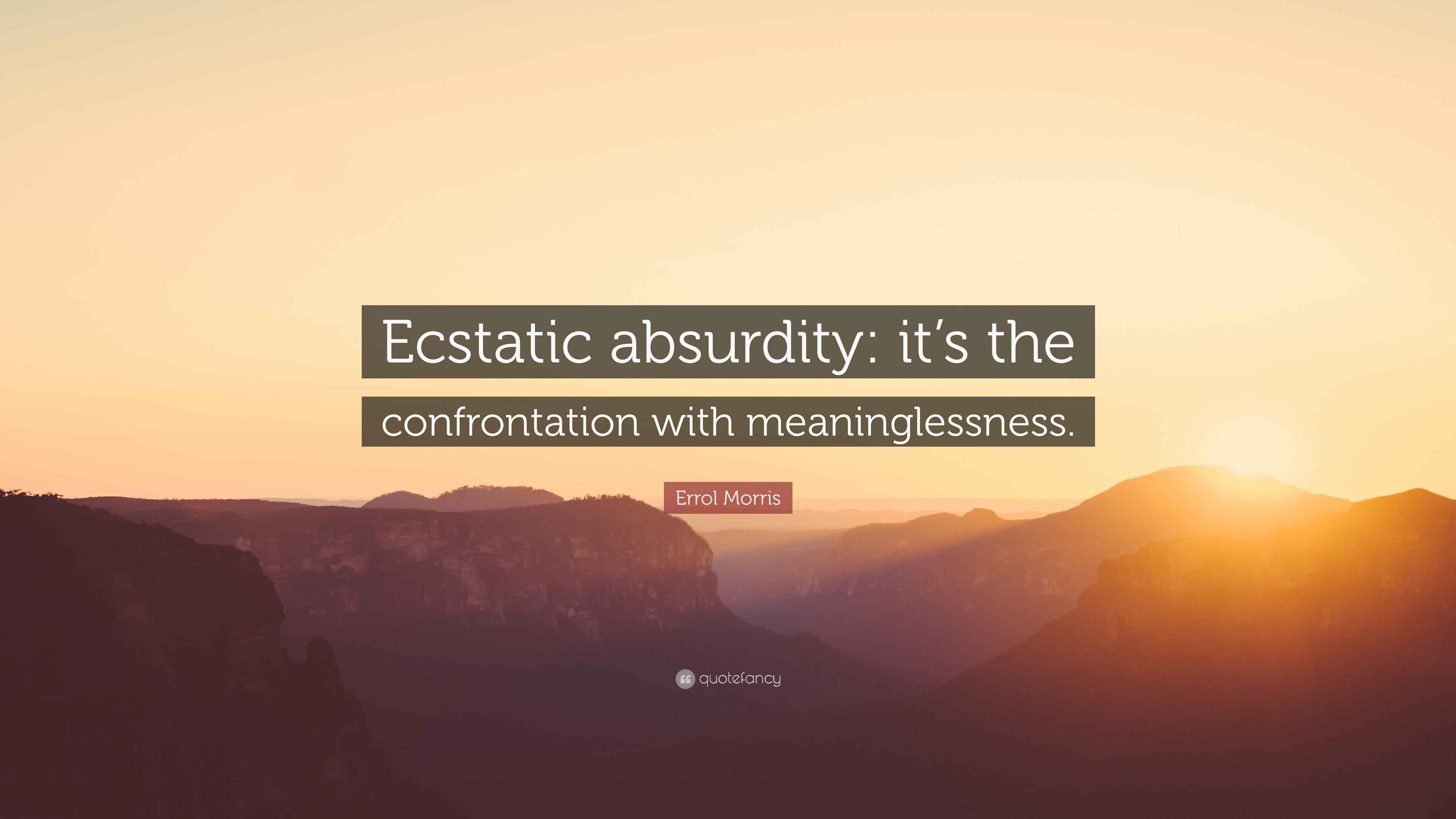 Errol Morris Quote: “Ecstatic absurdity: it’s the confrontation with ...