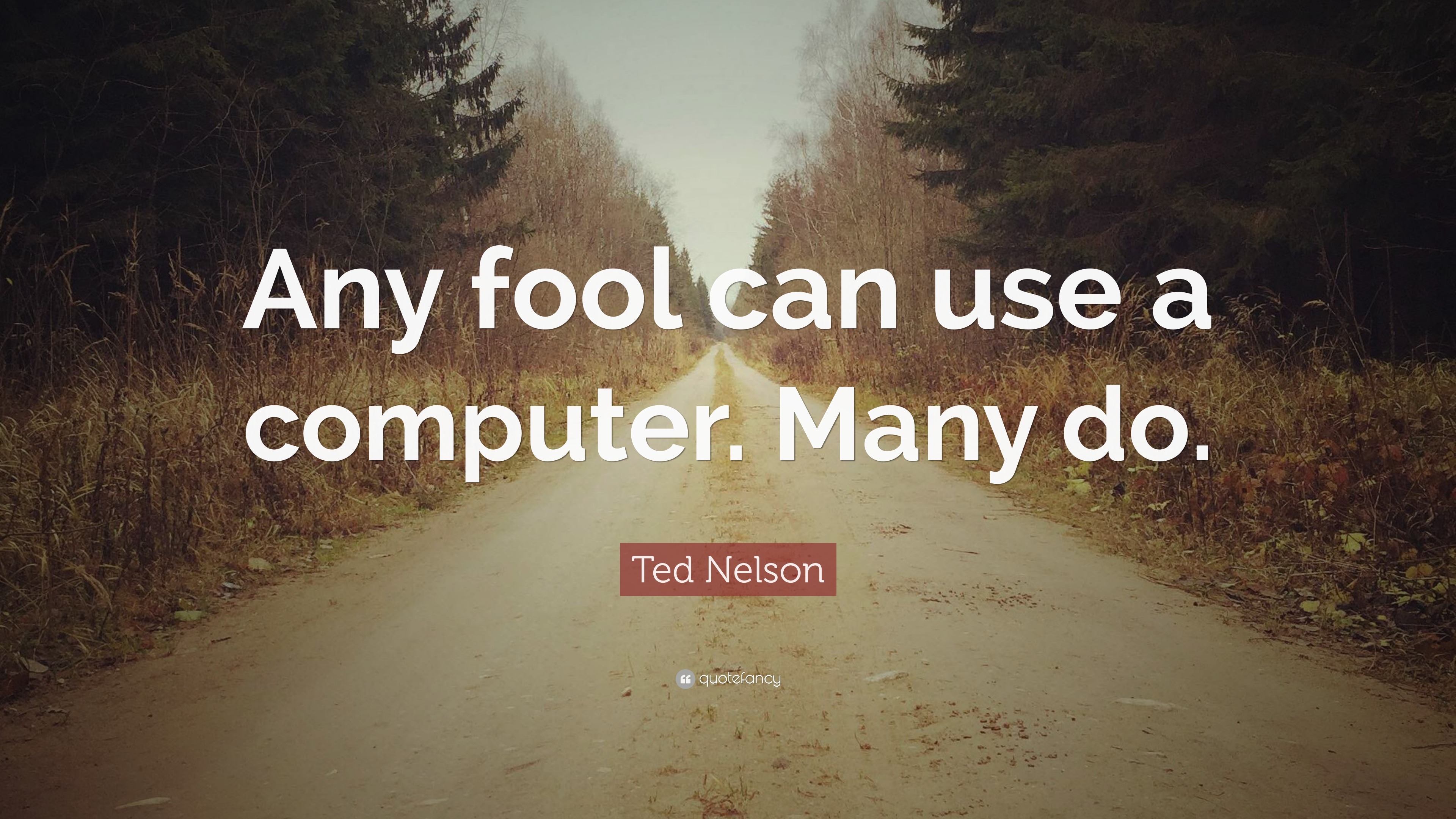 Ted Nelson Quote: “Any fool can use a computer. Many do.”