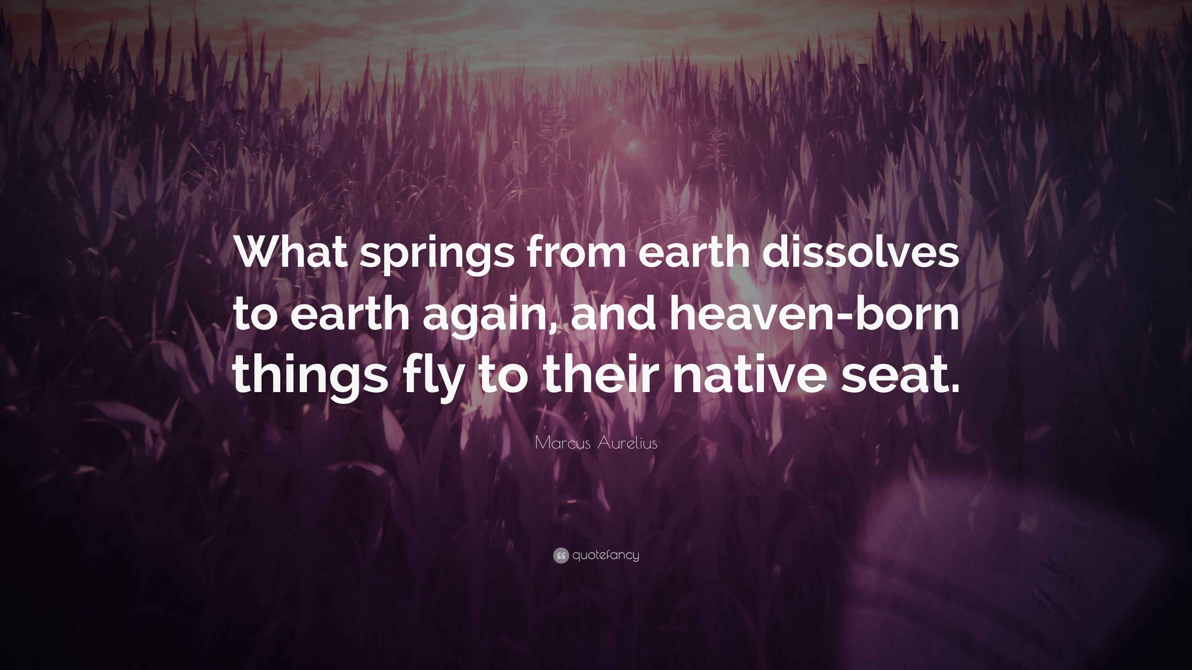 Marcus Aurelius Quote: “What springs from earth dissolves to earth ...
