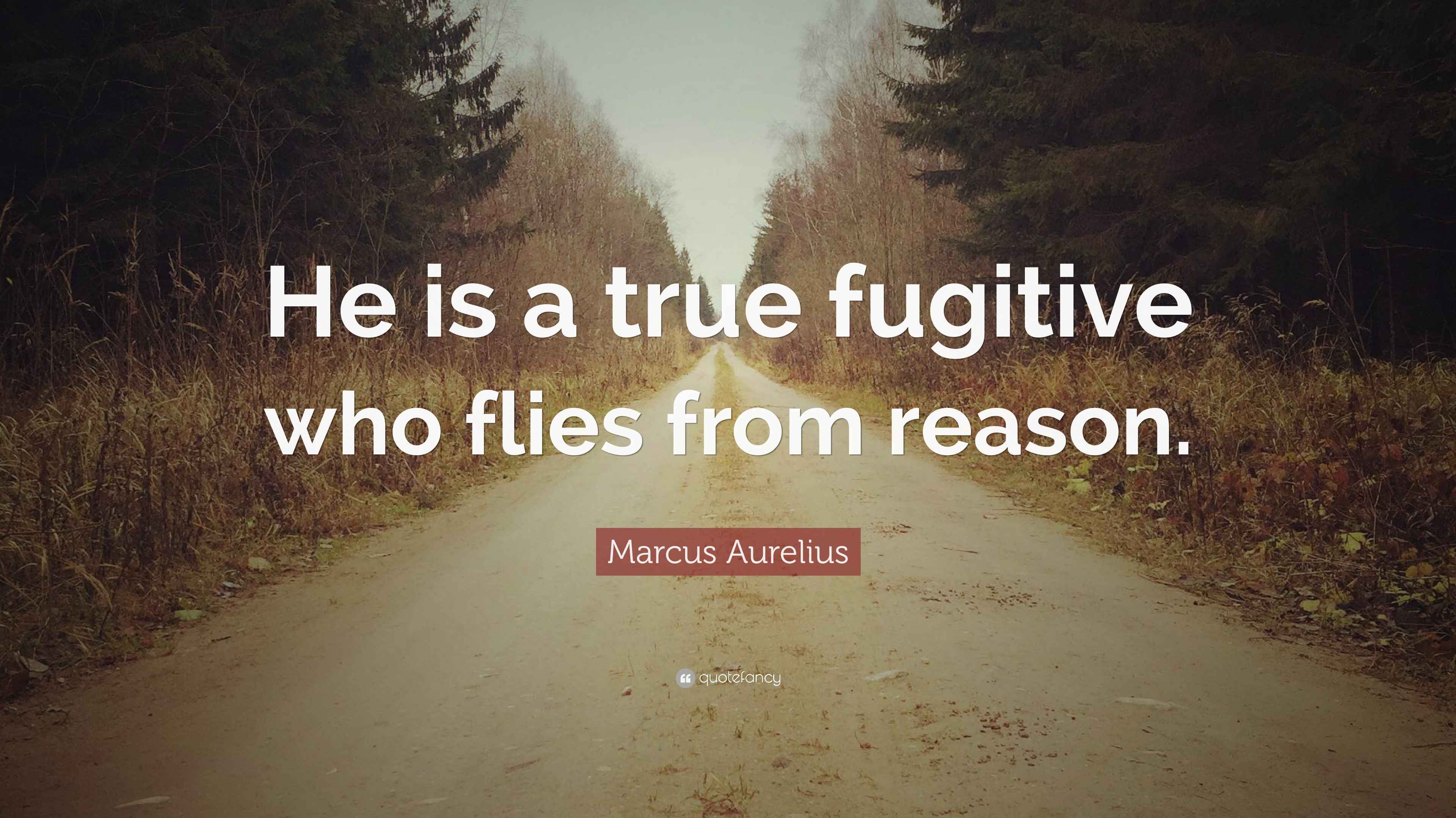 Marcus Aurelius Quote: “He is a true fugitive who flies from reason.”