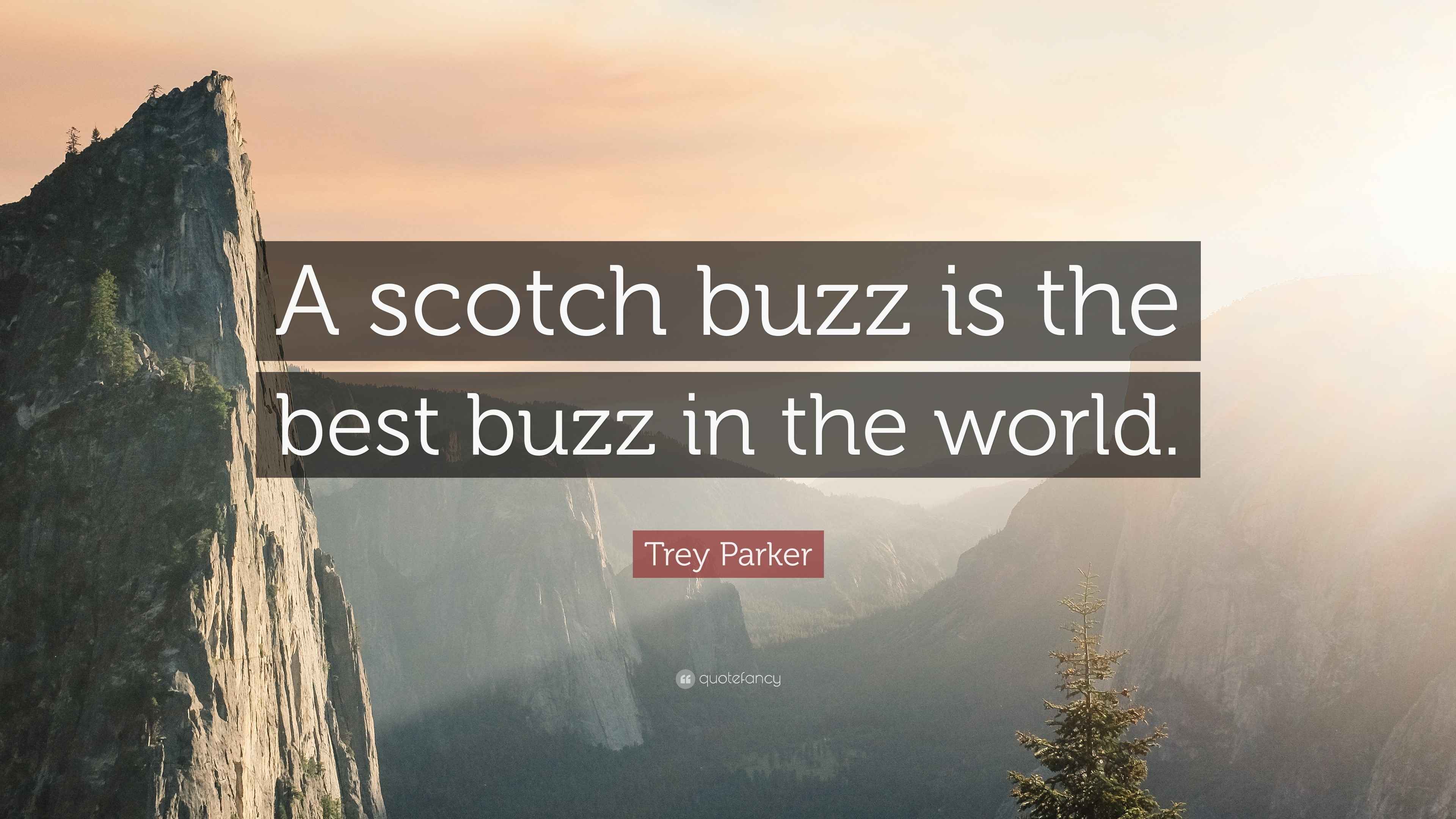 Trey Parker Quote: “A scotch buzz is the best buzz in the world.”